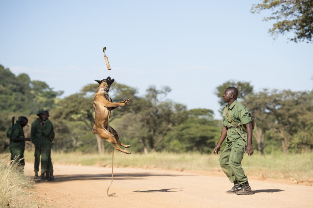 Canine Unit Handlers Receive Certification from American Society of ...
