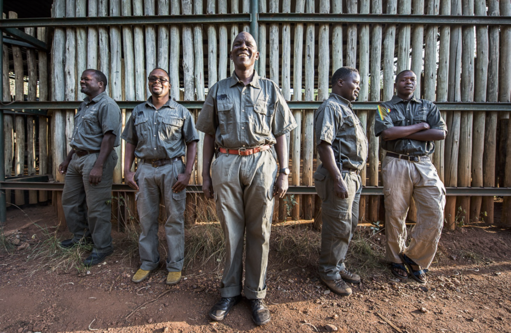 ZAITUNI, THE ORPHANED RHINO – Grumeti Fund